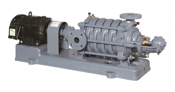 Horizontal multi-stage pump (MS )